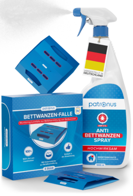 Starke Mittel gegen Bettwanzen entdecken - Patronus